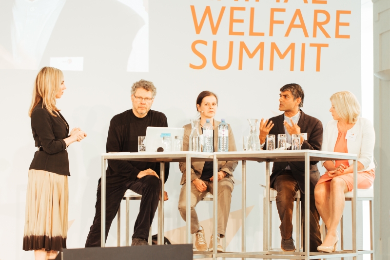 Dr. Tanja Busse Bücher - Dr. Tanja Busse