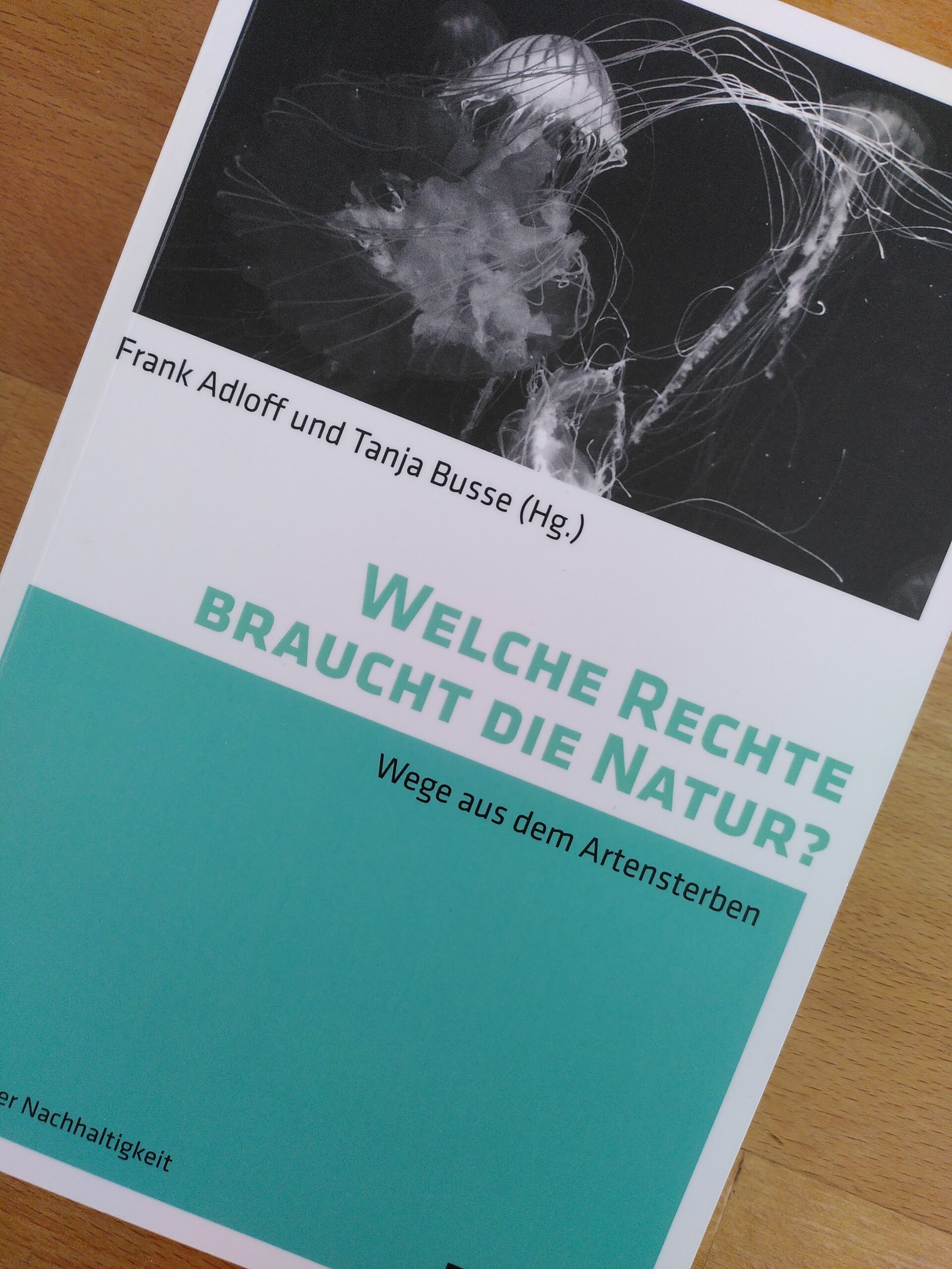 Dr. Tanja Busse Bücher - Dr. Tanja Busse